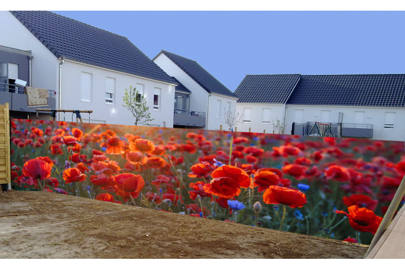 brise vue coquelicots