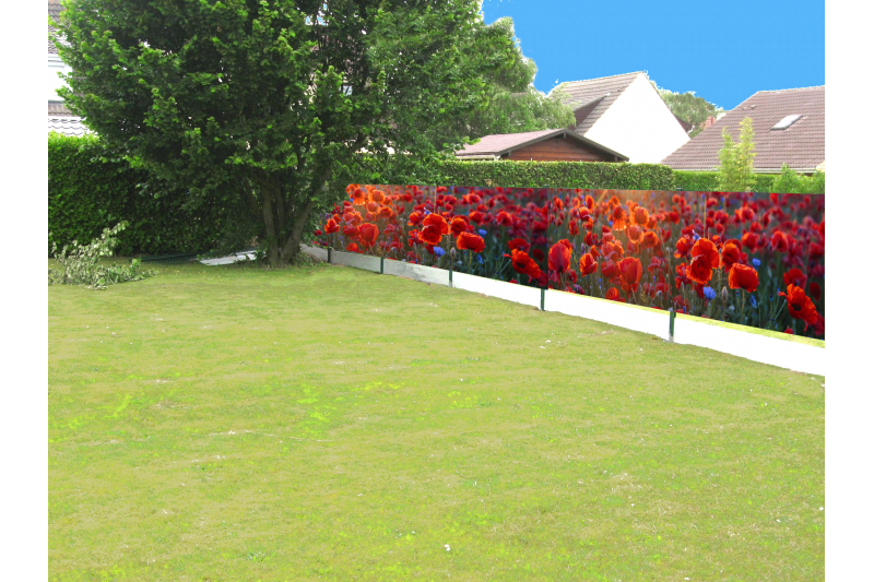 brise vue coquelicots